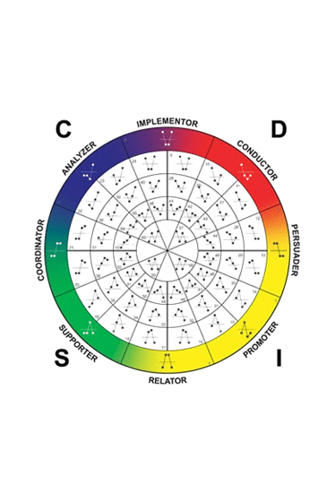 DISC Team Performance | SecondNature